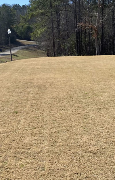 March - Bermuda Lawn Calendar