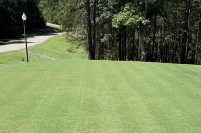 Bermuda Lawn Calendar - Bermuda Grass Calendar