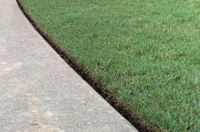 Bermuda Lawn Calendar - Bermuda Grass Calendar