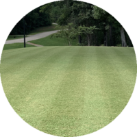 Bermuda Lawn Calendar - Bermuda Grass Calendar